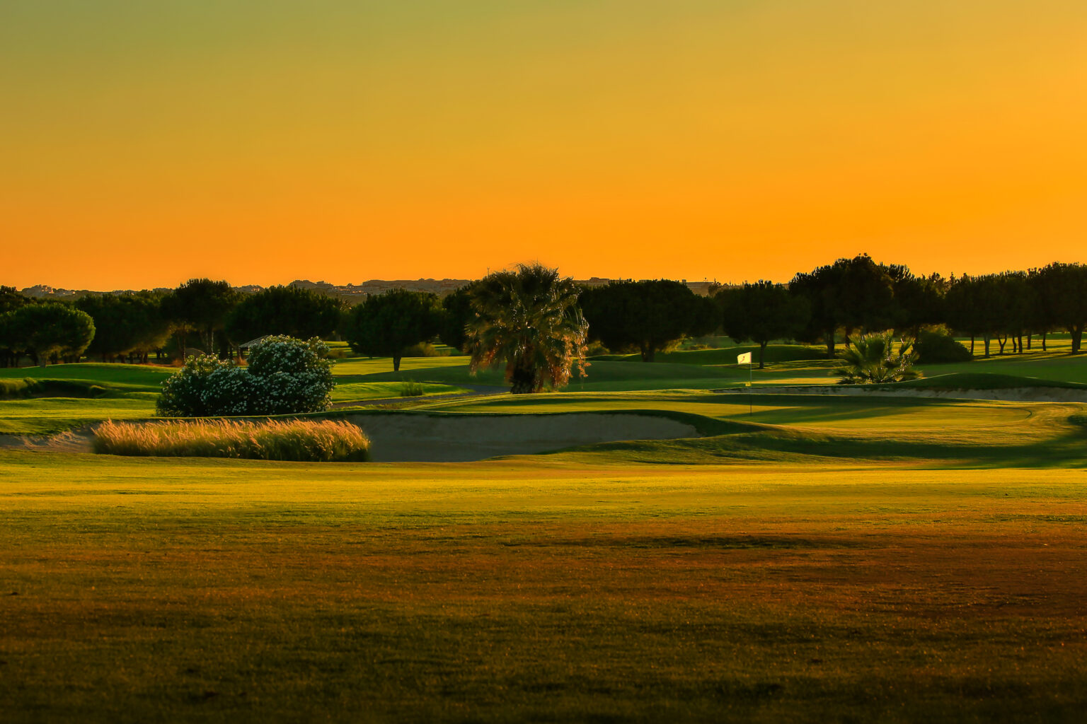 Pro Am Golf. Golf Pro Ams with Golf Escapes