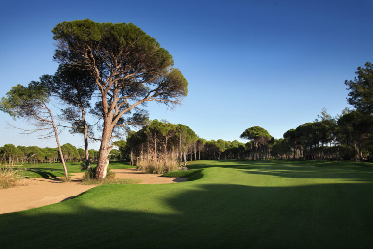 Sueno Golf Club – Pines Course in Turkey